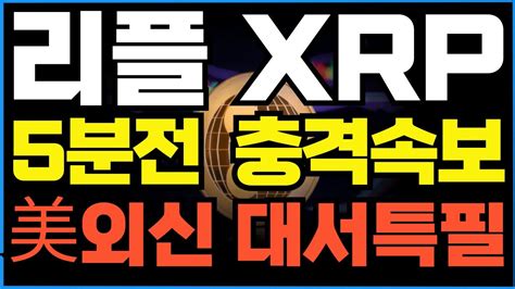 리플 Xrp 보유자 여러분 난리 났습니다 리플 리플코인 리플코인 전망 리플xrp Youtube