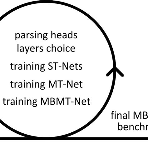 Development Methodology Of Mbmt Net Download Scientific Diagram