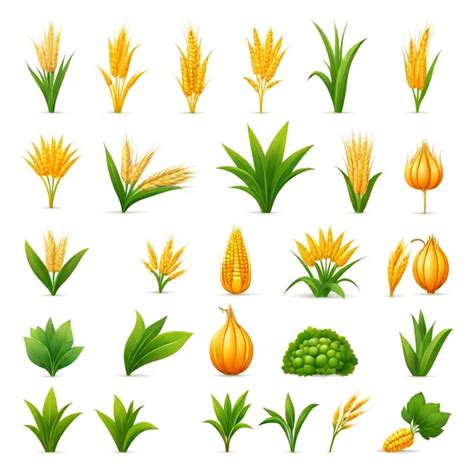 Crops Vector Set White Background Isolated A High Qual Premium Ai