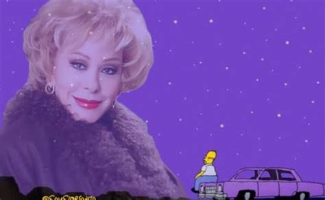 Despiden A Silvia Pinal En Redes Rinden Tributo Con Fotos Y Videos A