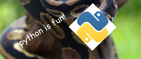 I Tried To Create A Programming Language In Python Dev Community