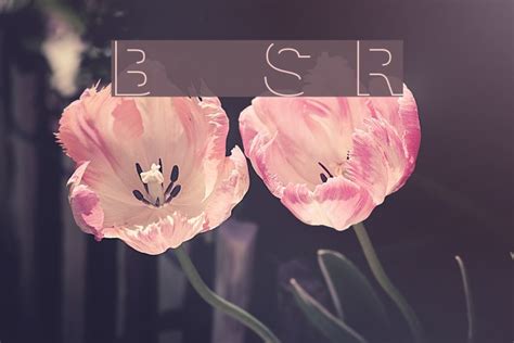 Block Shadow Regular Font FFonts Net