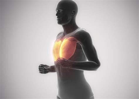 Pectoralis Major Tendon Tear Orthopedic Shoulder Specialist