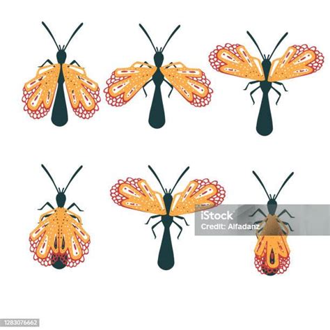 흰색 배경에 고립 된 다른 날개 컬렉션 곤충 플랫 벡터 일러스트와 간단한 평면 잠자리 세트 검은색에 대한 스톡 벡터 아트 및 기타 이미지 검은색 곤충 기어가기