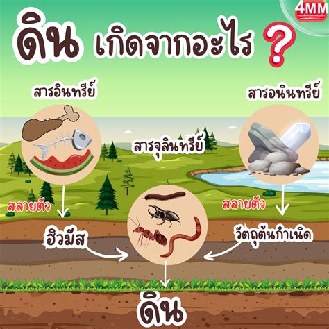 ศูนย์เมล็ดพันธุ์ตลาดสี่มุ ศูนย์เมล็ดพันธุ์ตลาดสี่มุมเมือง