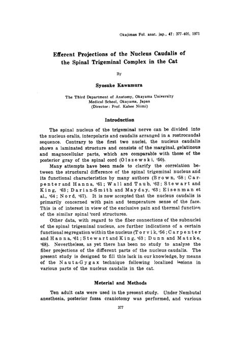 Efferent Projections Of The Nucleus Caudalis Of The Spinal Trigeminal