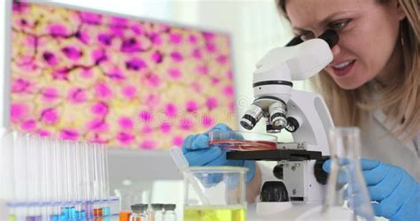 Woman Scientist Examines Specimen Under Microscope In Lab Stock Footage Video Of Equipment