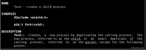 007 Linux Fork函数 Fan558 博客园 007 Linux Fork函数 Fan558 博客园