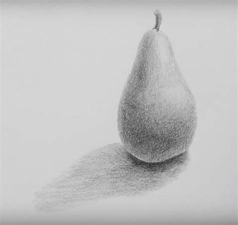 Pear Drawing At PaintingValley Com Explore Collection Of Pear Drawing