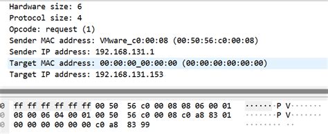 Dpdk 简易应用开发之路 3：实现ping（arp Icmp 协议）dpdk 实现ping Csdn博客