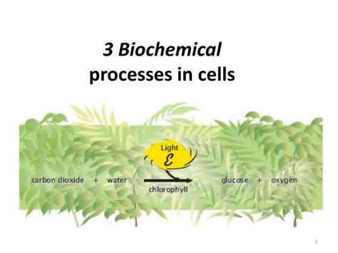 Ppt 3 Biochemical Processes In Cells Powerpoint Presentation Free