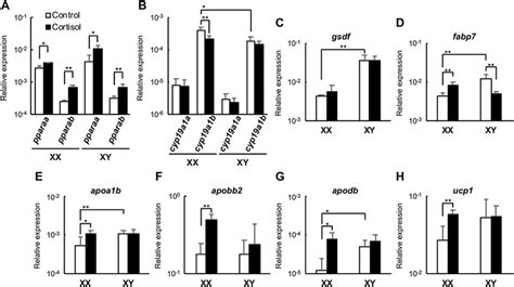 Cortisol Increases The Level Of Gene Expression In The Pparα Signalling
