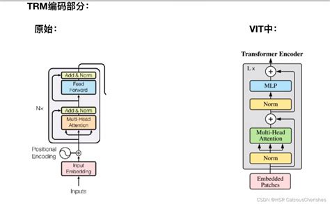 Vision Transformer Vit模型与代码实现（pytorch）vit Model Csdn博客