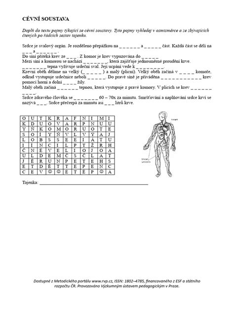 Cévní Soustava Pdf