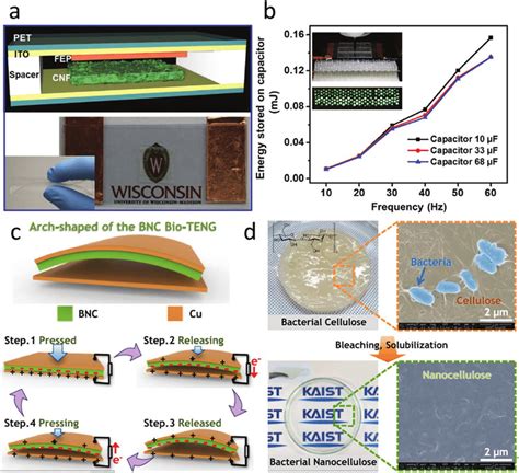 Tengs Based On Cellulose Materials A Schematic Description Of