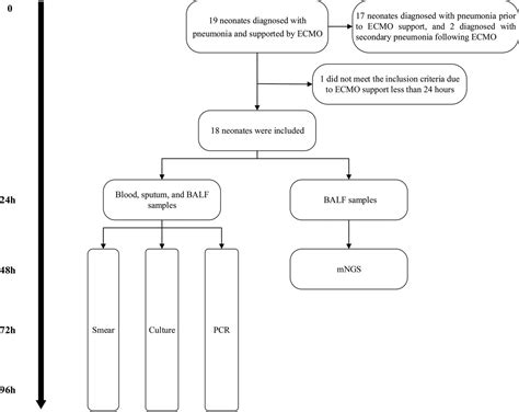 Metagenomic Next Generation Sequencing For Pathogen Identifi The Pediatric Infectious