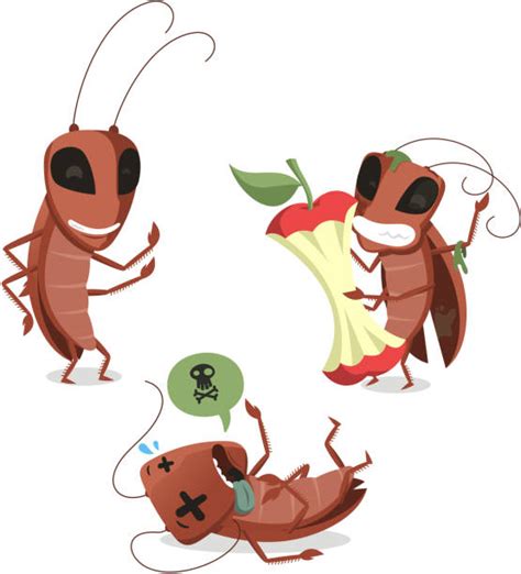 Dead Roach Illustrations Royalty Free Vector Graphics And Clip Art Istock
