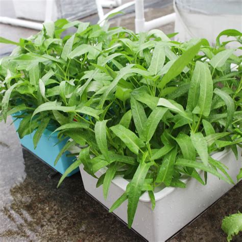 Sc2ca9d3b5fa14ae28b3637883fe2b26e1