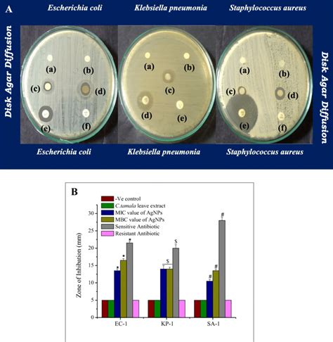 A Disk Agar Diffusion Assay Of Three Multidrug Resistant Bacterial