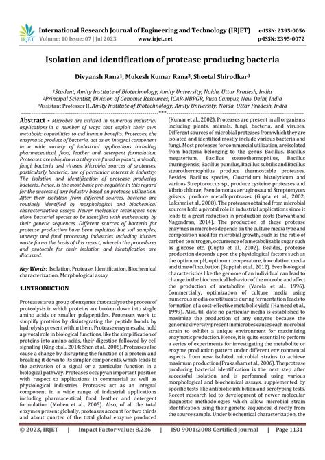 Isolation And Identification Of Protease Producing Bacteria Pdf
