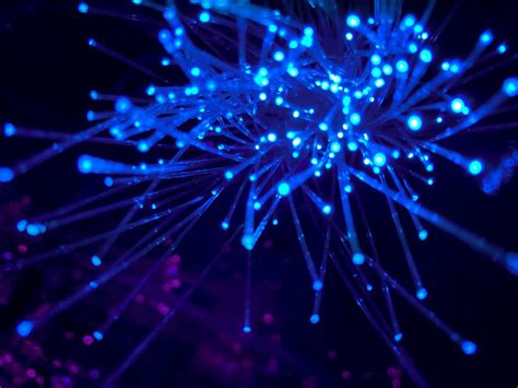 How To Create A Graph Neural Network In Python Towards Data Science