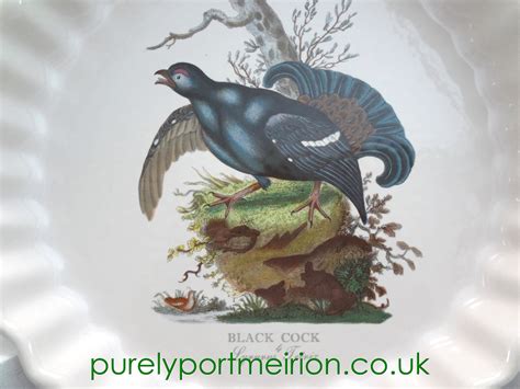 Portmeirion Pottery Birds Of Britain 9 Inch Flan Dish Black Cock B57