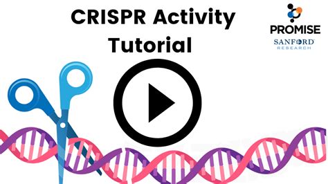 Crispr Tutorial Video Video Sanford Promise