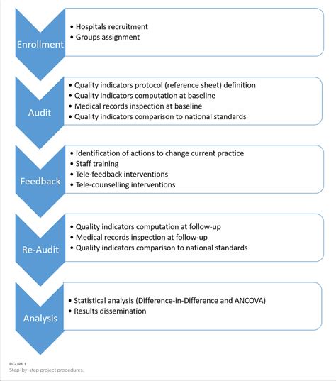 Figure 1 From Audit And Feedback In Cardio And Cerebrovascular Setting Toward A Path Of High