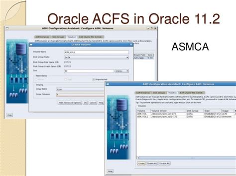 oracle acfs in oracle 11