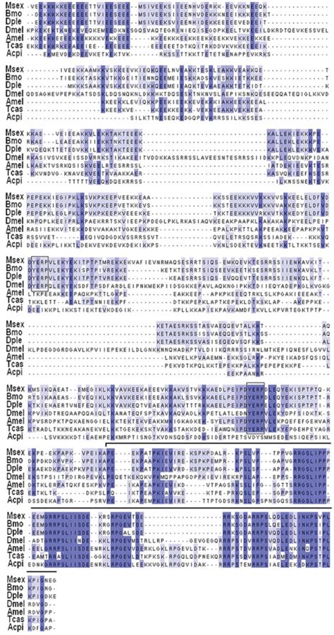 Clustal W Generated Amino Acid Sequence Alignment Between Pevk Ntcs I