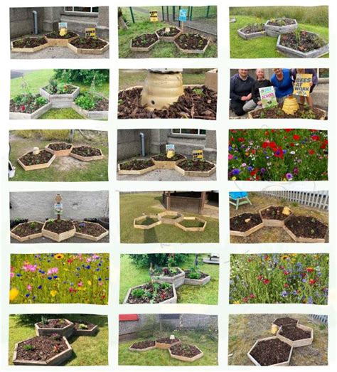 Ncs In The Community Bee Friendly Schools Programme Ncs