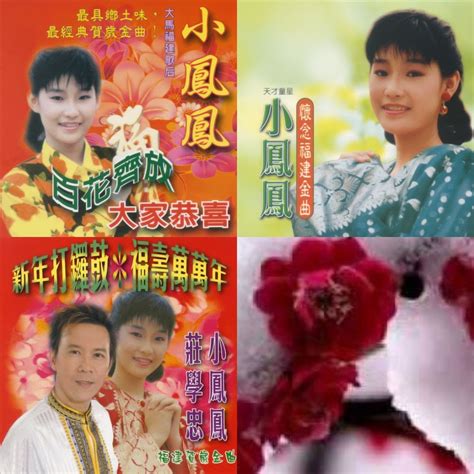 童欣（小鳳鳳）