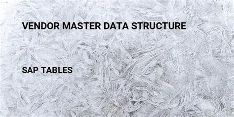 Vendor Master Data Structure Table In Sap