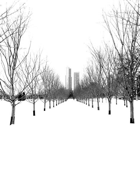 Premium Photo Treelined Footpath In Park