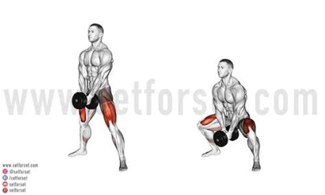 10 Finest Dumbbell Glute Workout Routines Better Weight Loss