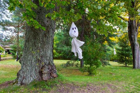 Homemade Halloween Ghost Hang Up On The Tree Stock Image Image Of Illinois Architecture