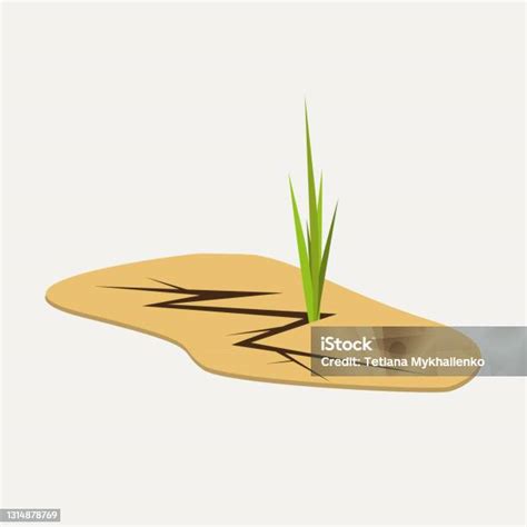 자연의 힘과 힘 땅에 균열과 젊은 새싹 잔디를 녹색 식물 건조 사막 토양을 통해 성장 사막 가뭄 모래 와 환경 열대 풍경의 조각 식물에 대한 스톡 벡터 아트 및 기타 이미지