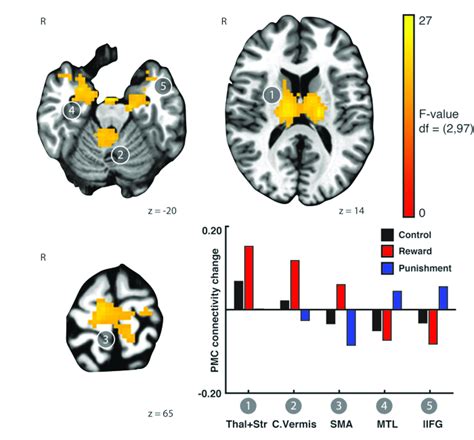 Reward And Punishment Differentially Affect Pmc Functional Connectivity