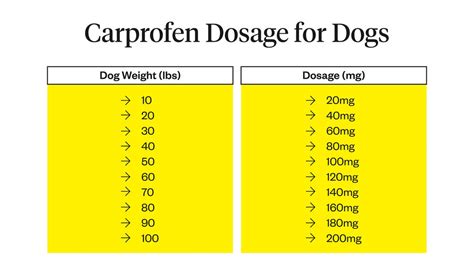 Carprofen For Dogs What Is Carprofen Used For Dutch