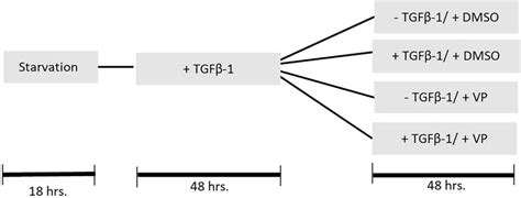 Schematic Representation Of Treatments Subjected To Dd Nodule Derived