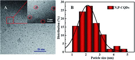 A The Tem Image And B The Statistical Histogram Of The Particle Download Scientific Diagram
