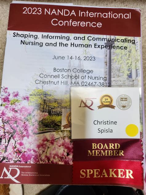 Christine Spisla On Linkedin Nanda Nurses