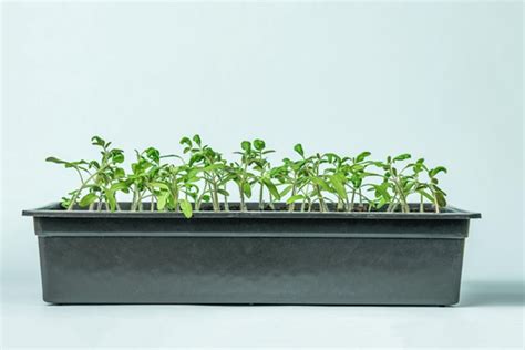 Planter Boxes Rectangular Planter Boxes Square 0393557688