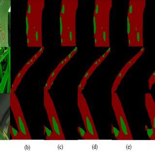 Segmentation Effect Of Rice Blast Disease A Original Image Of Download Scientific Diagram