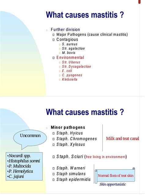 Veterinary Information Added A Veterinary Information