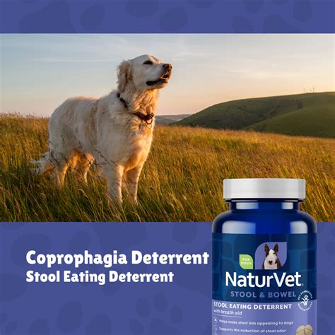 Nv Coprophagia Deterrent 60 Tablets