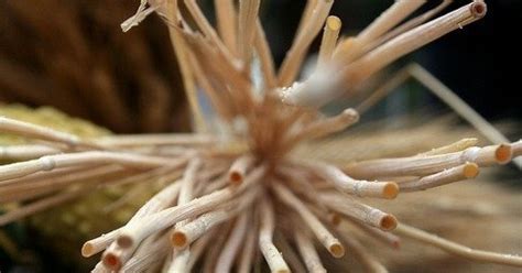 지구 대기압과 플라스틱 빨대의 상관관계 우리가 몰랐던 과학 이야기 265