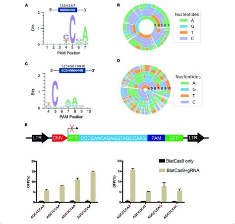 Pam Sequence Analysis For Blatcas9 A B Weblogo And Pam Wheel Are