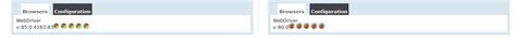 Testing Run Multiple Browser With Selenium Grid
