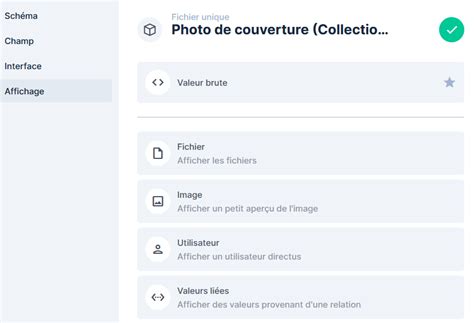 Add Default Display Template For Directusfiles · Issue 5364